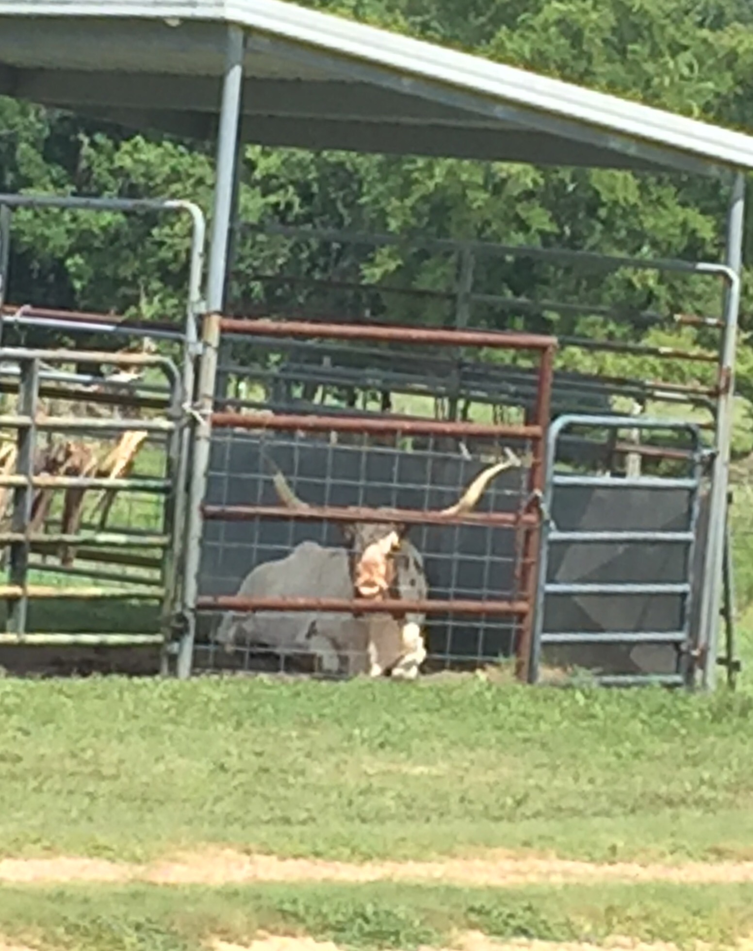 July | 2016 | Diamond V Ranch